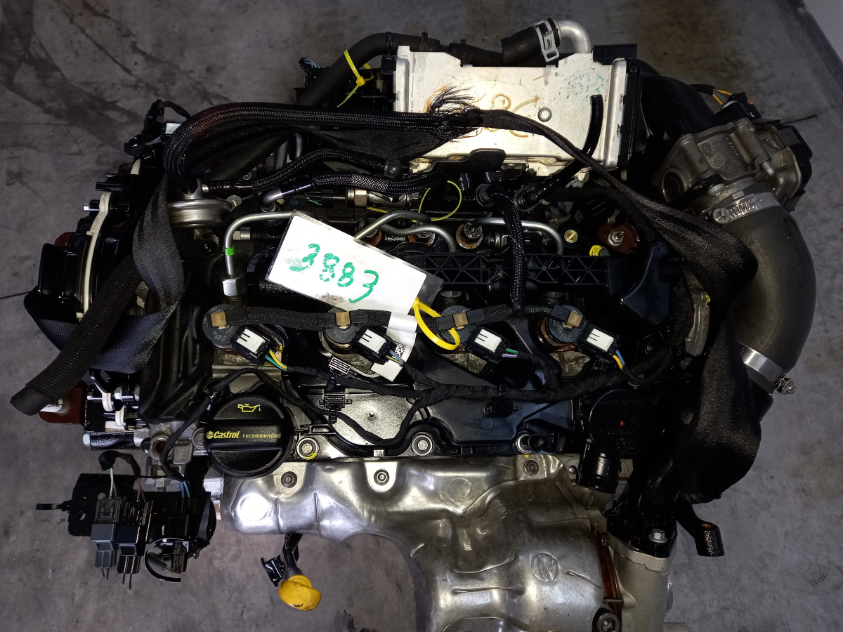 MOTOR FORD FOCUS 1.5TDCI Ecoblue 95CV, REF: Z2DA - Guimotores