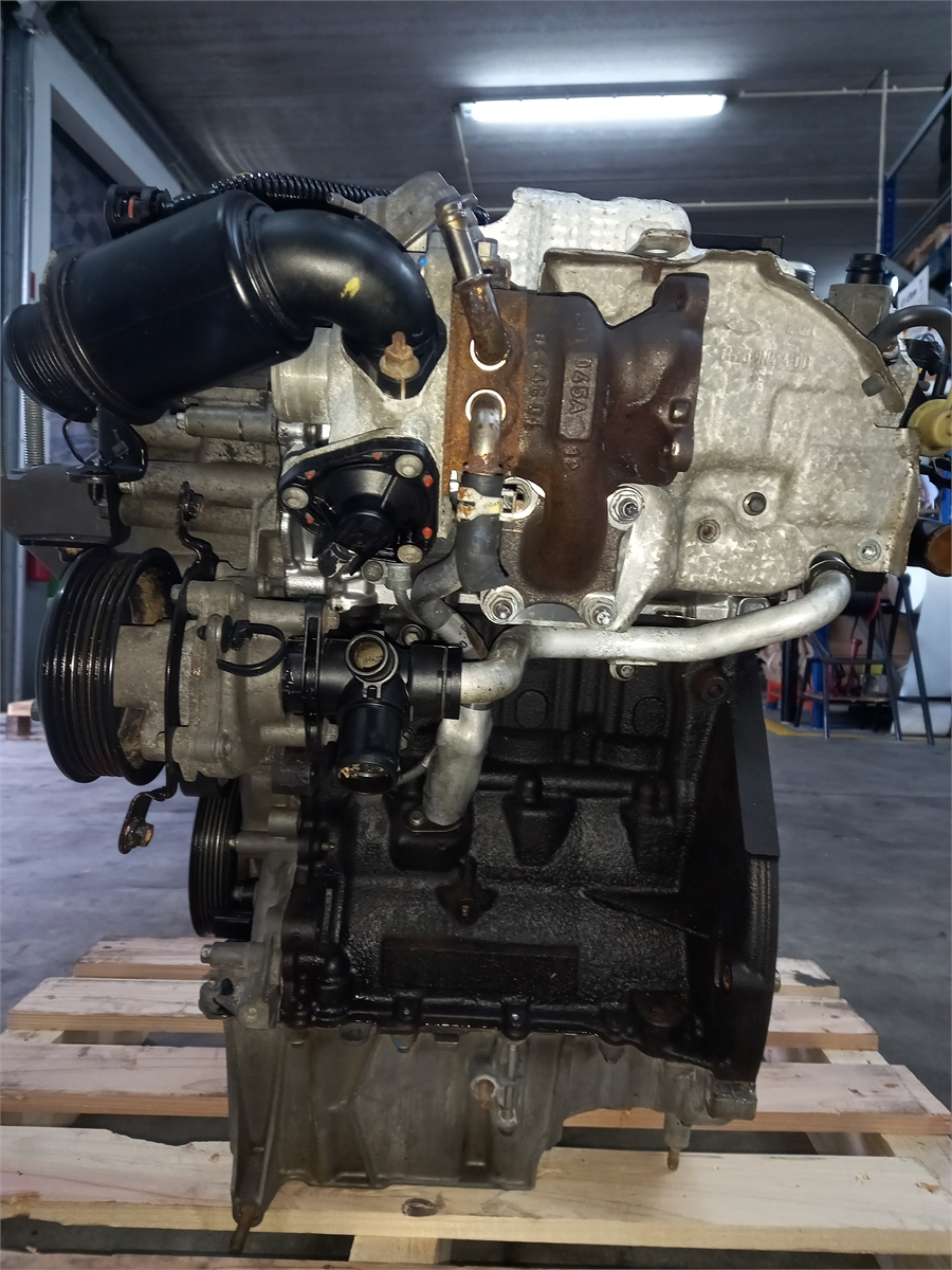 MOTOR FORD FOCUS ZETEC 1.0ECOBOOST 125CV, REF: M1DD - Guimotores